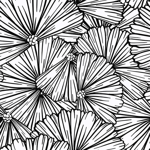 Limpit Cotton Curtain Fabric - Black / White – The Millshop Online